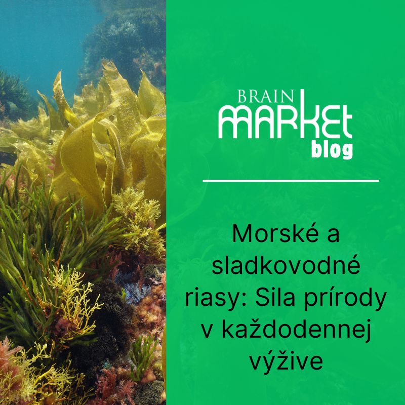Morské a sladkovodné riasy: Sila prírody vo vašej každodennej výžive