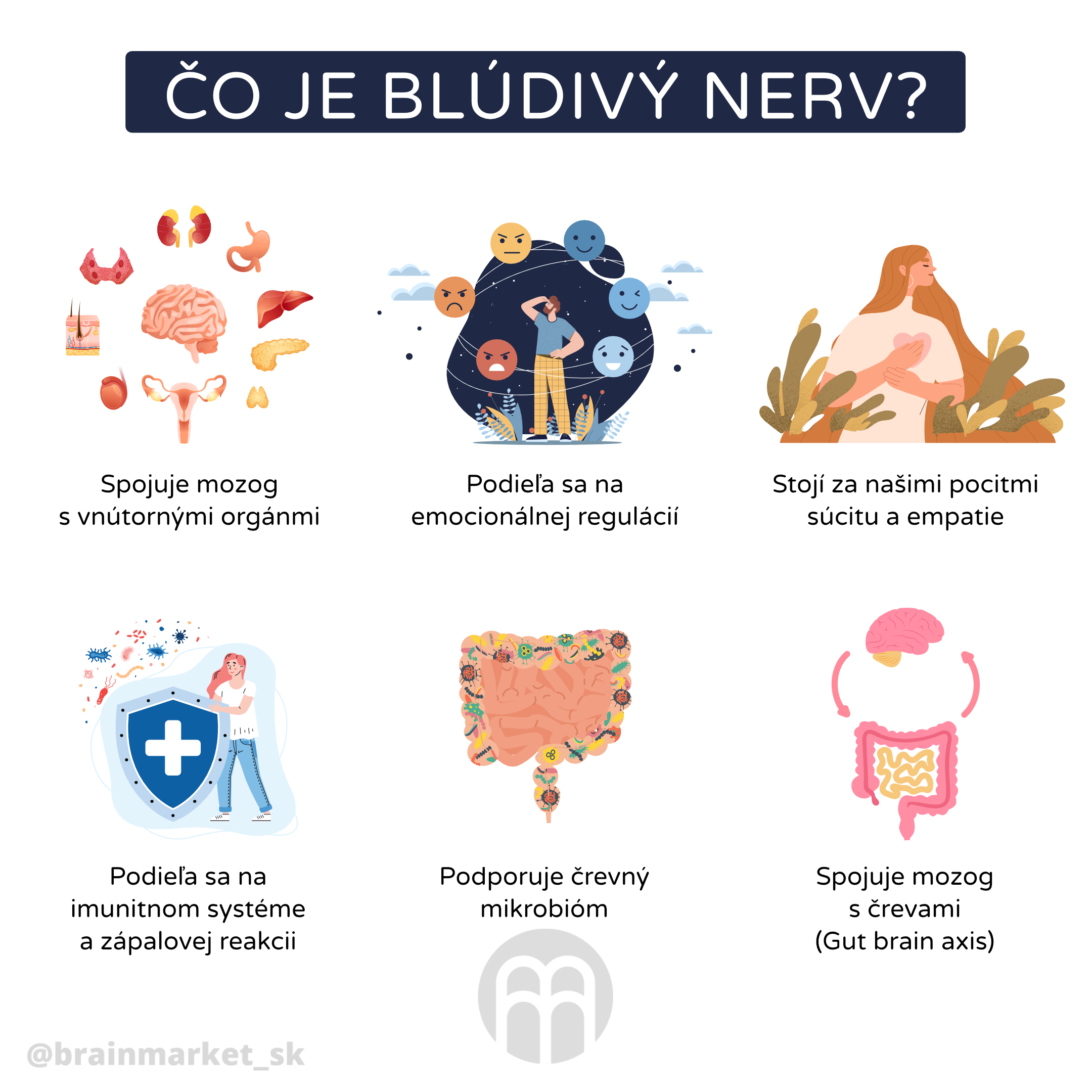 Blúdivý nerv - nervus vagus. Čo všetko má na starosť? - BrainMarket.sk