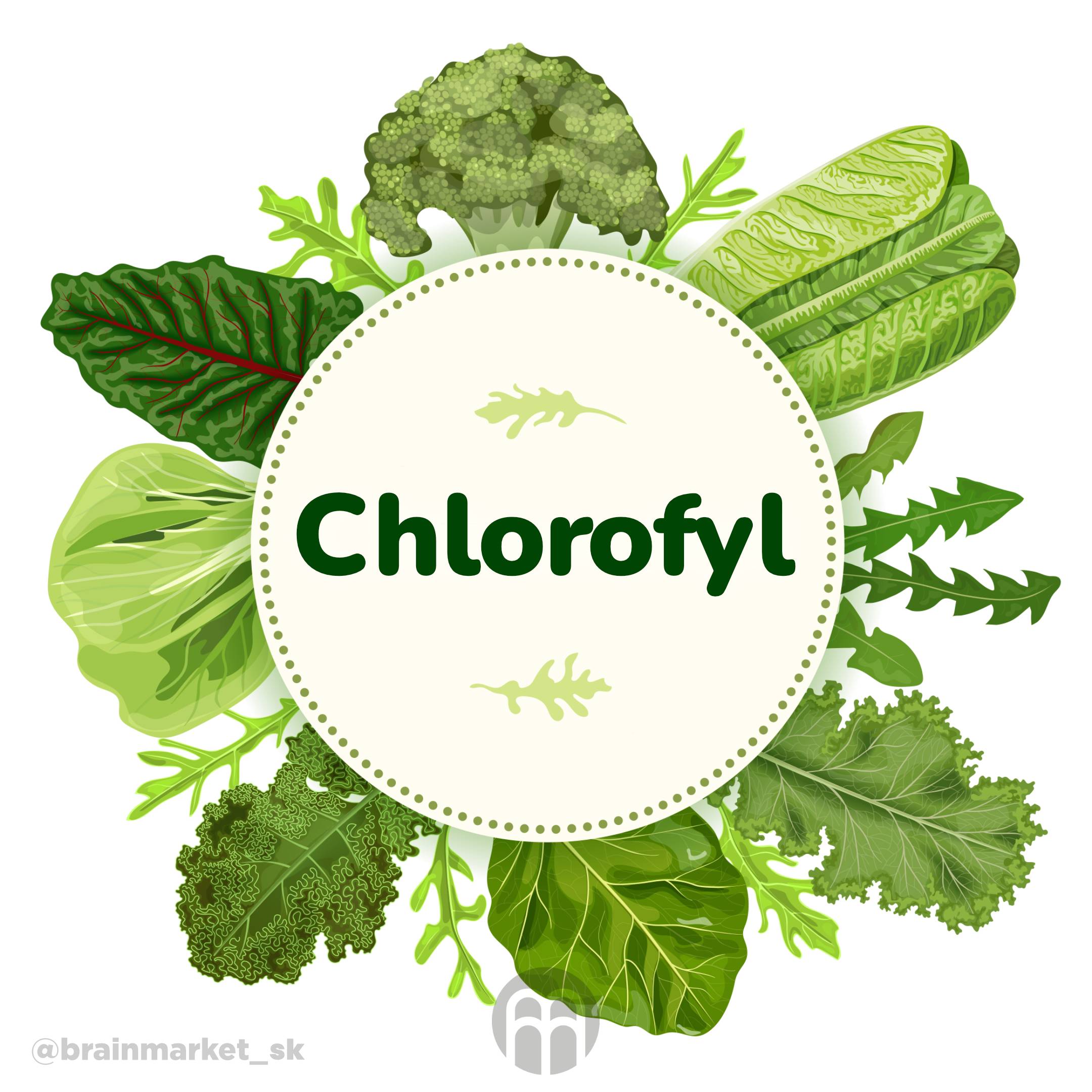 Chlorofyl - najlepší prírodný pigment na detoxikáciu - BrainMarket.sk