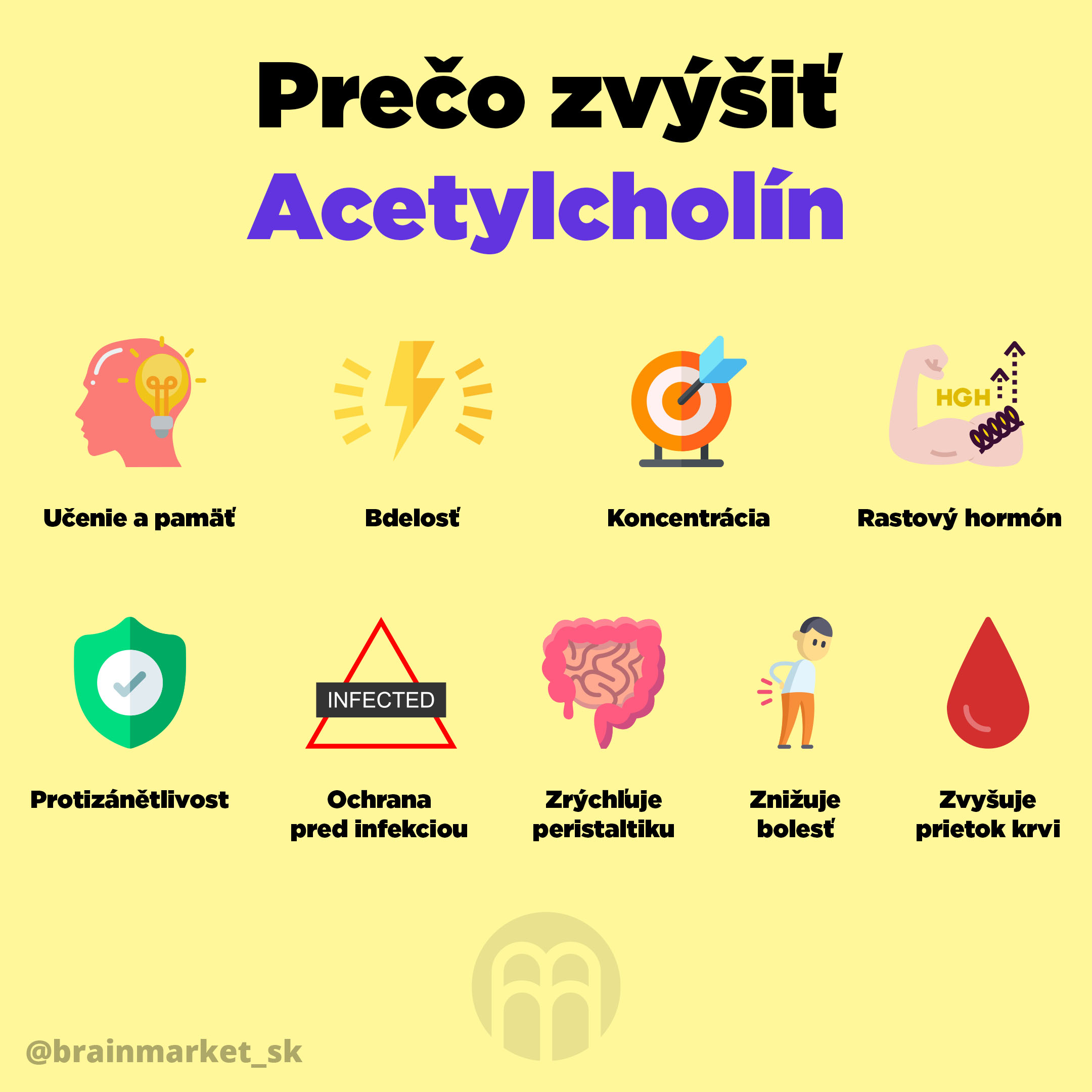 Na čo je acetylcholín? A 9 dôvodov, prečo ho zvýšiť! - BrainMarket.sk